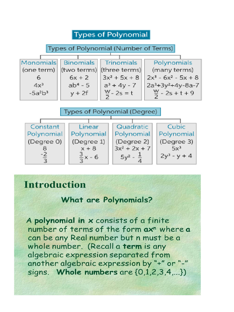 Grade 7 Worksheet | PDF