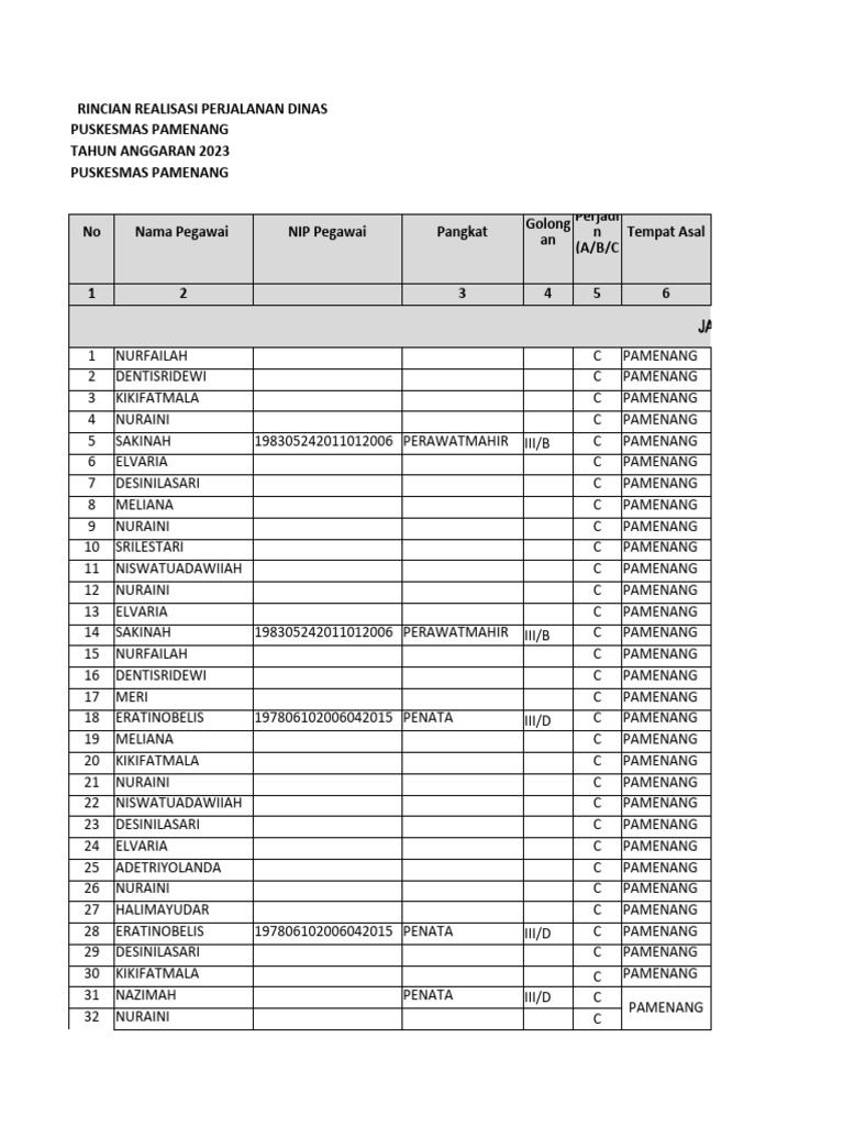Rekap Perjadin Imunisasi | PDF