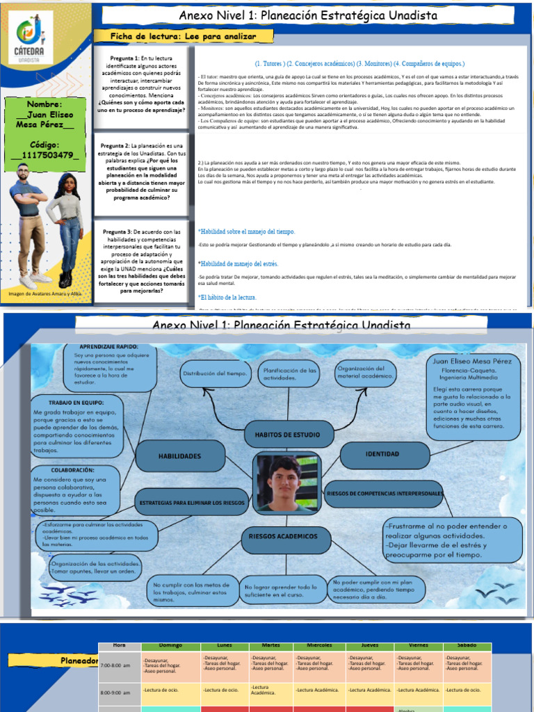 Anexo 1 Nivel 1 Ficha De Lectura Pdf Aprendizaje Planificación 