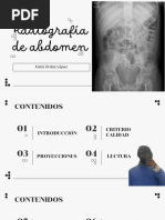 Signos de neumoperitoneo en radiografías | PDF | Abdomen | Hígado