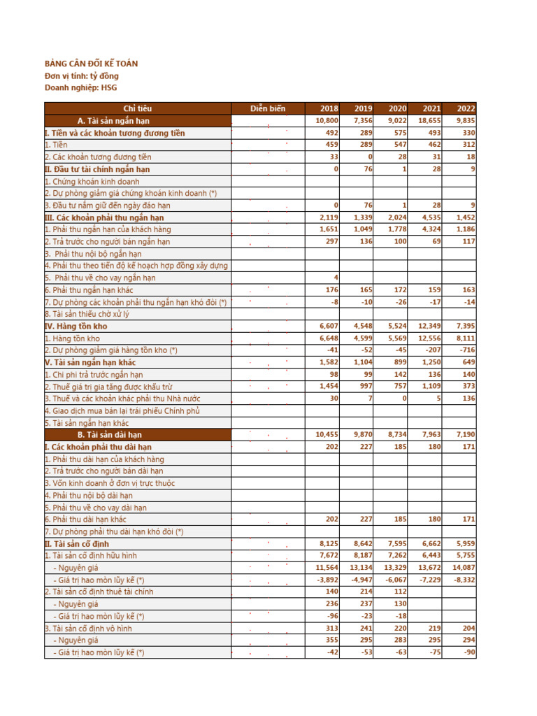 Phân Tích BCTC-HSG | PDF
