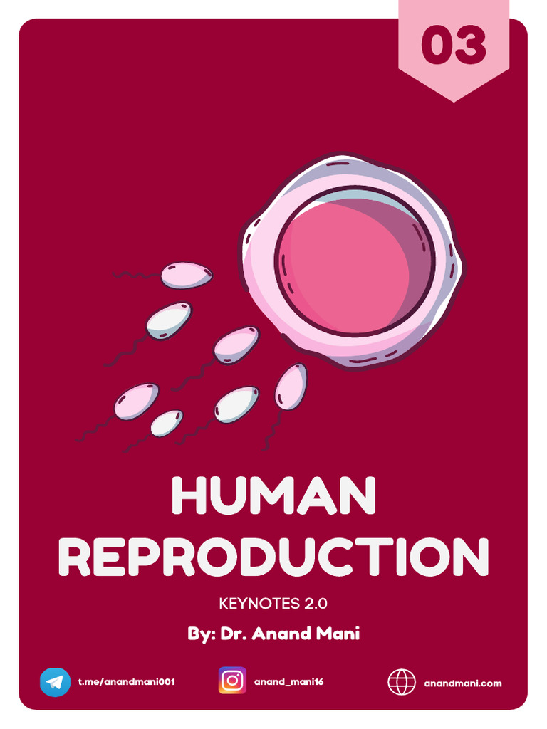 2.human Reproduction Notes | PDF