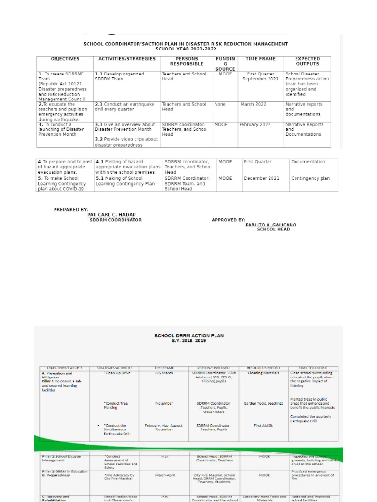 Sample Action Plan | PDF
