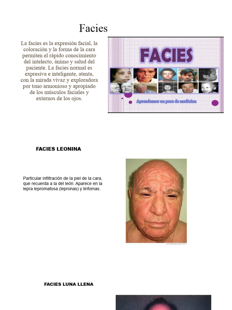 FACIES | PDF FACIES | PDF