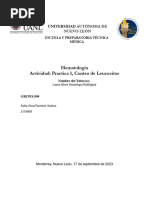 Recuento Diferencial de Leucocitos | PDF | Leucocito | Hematología