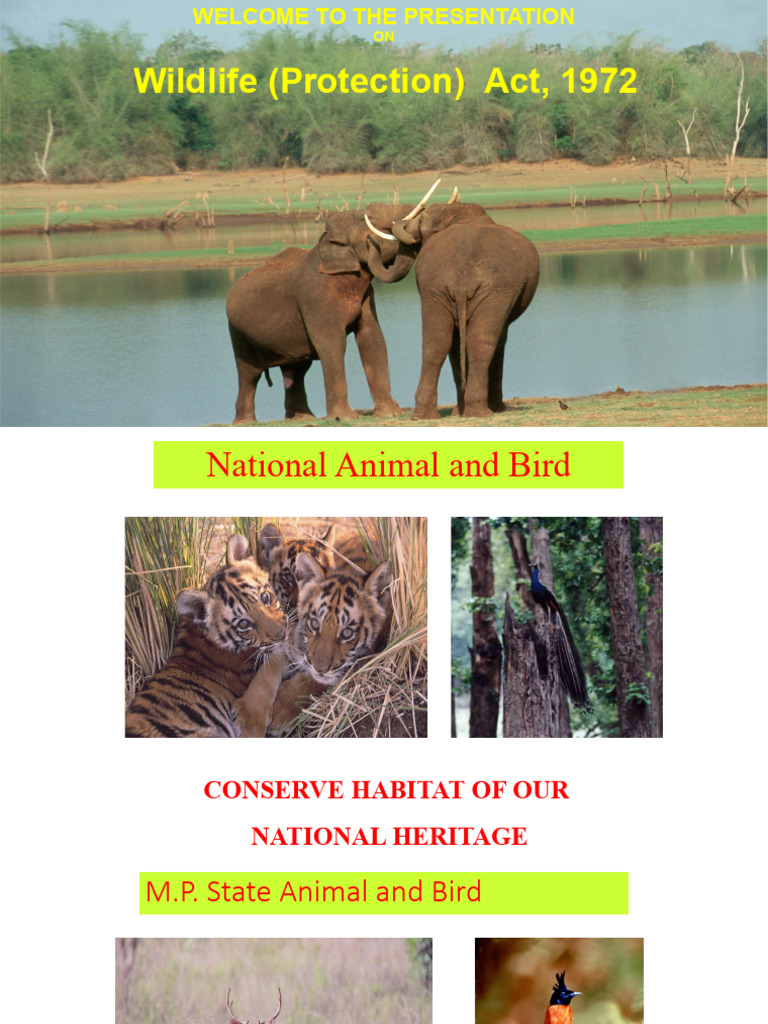Wildlife Protection Act 1972 Overview | PDF | Natural Resource ...