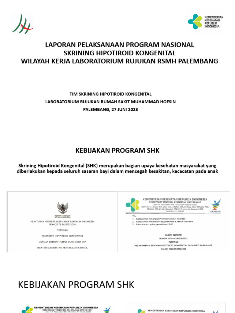 Laporan Pelaksanaan Prognas SHK (Dr. Yulis - Laporan Ketua Tim) | PDF