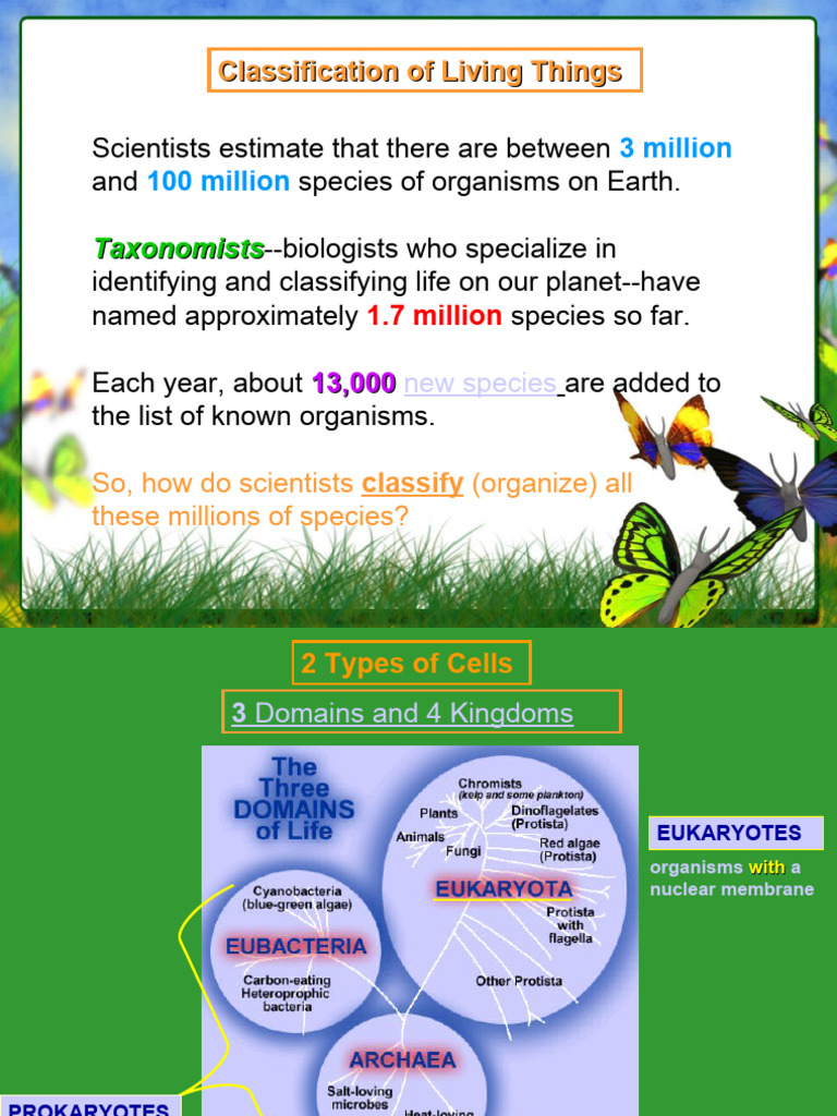 Classification of Living Things | Download Free PDF | Organisms | Plants