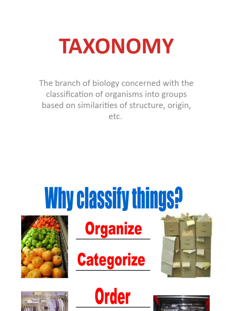 Seven Levels of Classification Grade 6 | PDF | Taxonomy (Biology) | Genus