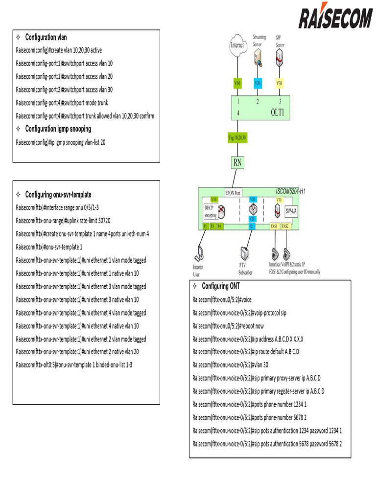 Raisecom ONU-template Configuration Example | PDF