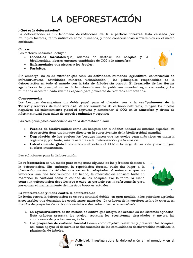 Causas y Consecuencias de la Deforestación | PDF