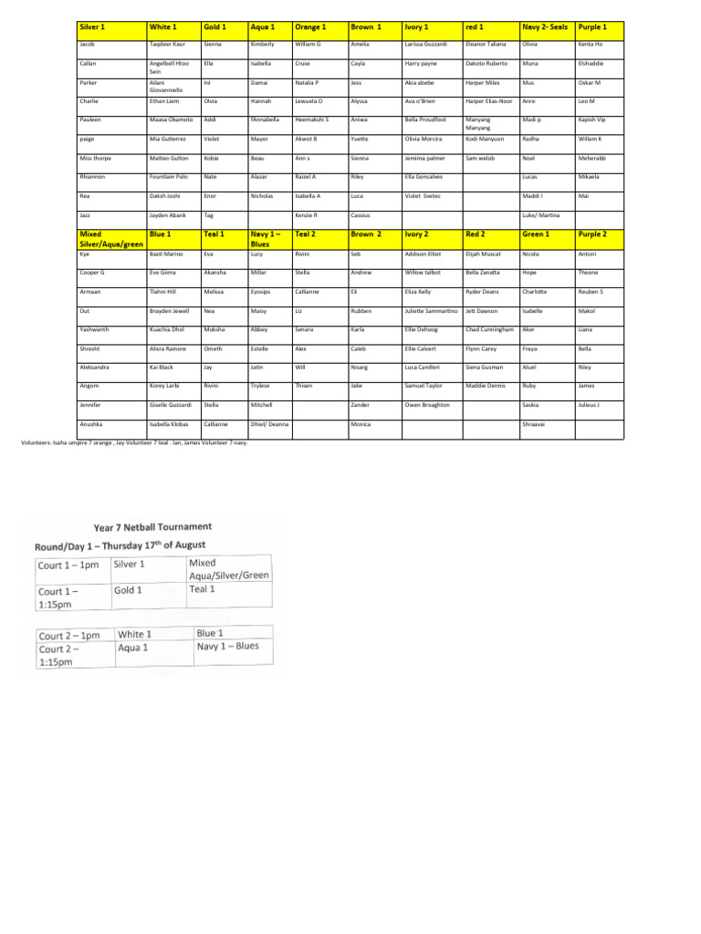 Netball Team Sheets and Draw | PDF