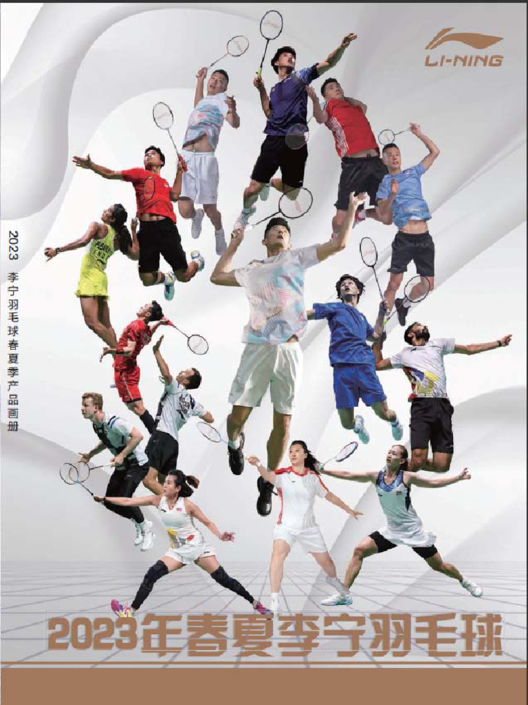 LN Badminton Racket Guide | PDF