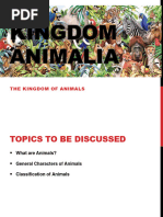 Kingdom Animalia - Phylum Summary Table | PDF | Gill | Zoology