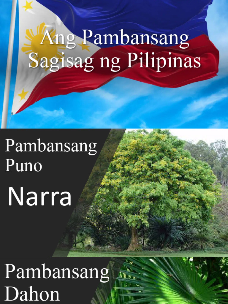 Ang Pambansang Sagisag NG Pilipinas | PDF