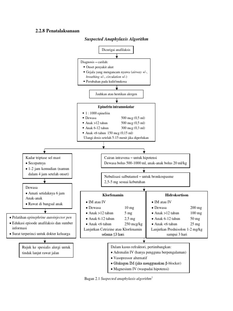 Anaphylaxis Algorithm | PDF