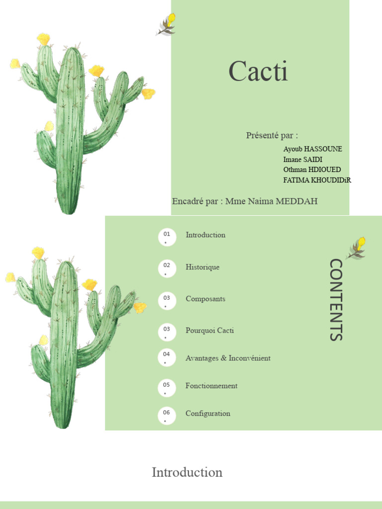 Cacti Presentation | PDF | Internet | Internet et Web