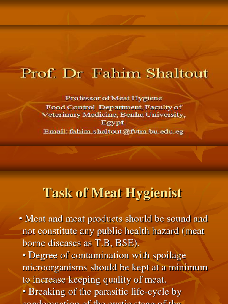 Abattoir | PDF | Slaughterhouse | Meat