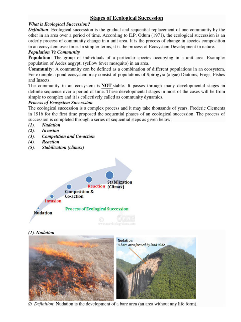 Ecological Succession | PDF | Ecology | Soil