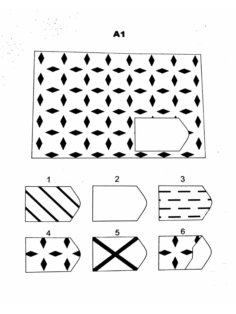 Raven - Matrici Progresive SPM Plus | PDF