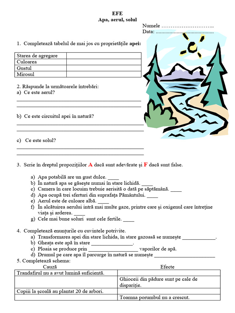 evaluare sumativa stiinte (1) | PDF