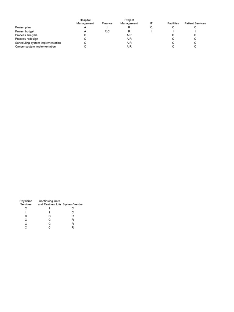Revised Responsibility Matrix Solution | PDF