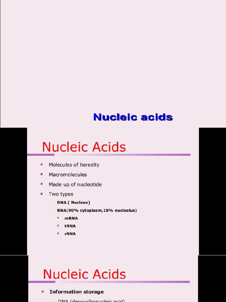 BioMolecules (10) (Nucleic Acid-Protein-Gentic Code) | PDF
