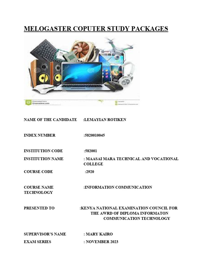 Lemayian's | PDF | Business