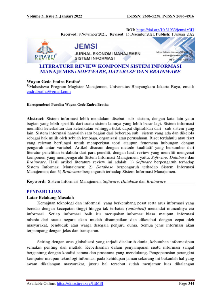 Komponen SIM: Software, Database, Brainware | PDF