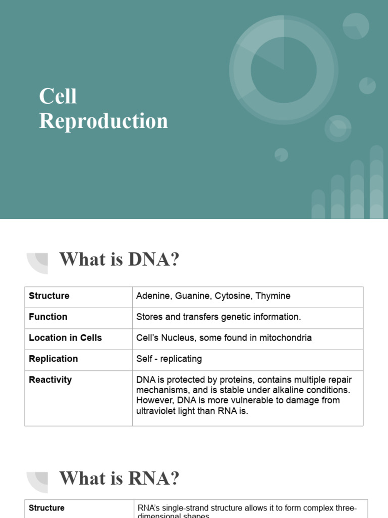 3.1 Cell Reproduction Biology | PDF | Meiosis | Mitosis