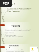 Tropisms - IGCSE Biology Revision Notes | PDF | Auxin | Root