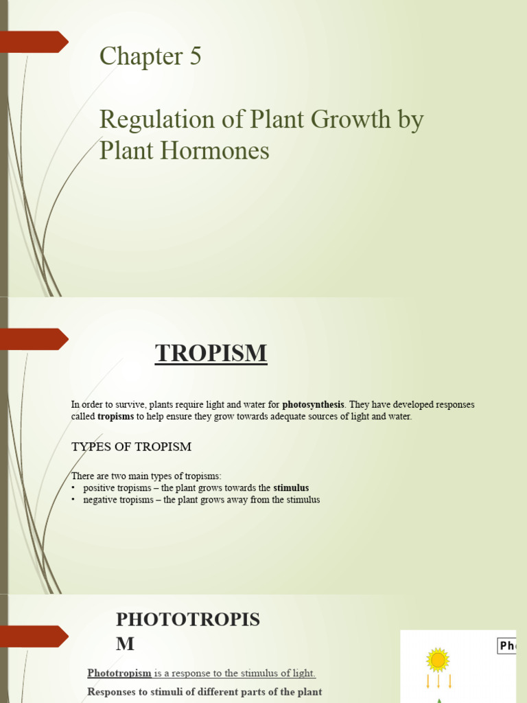 Auxin and Tropism | PDF | Auxin | Plant Hormone