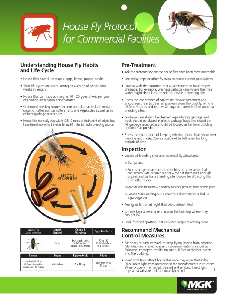 MGK Protocol House Flies | PDF | Fly | Insects