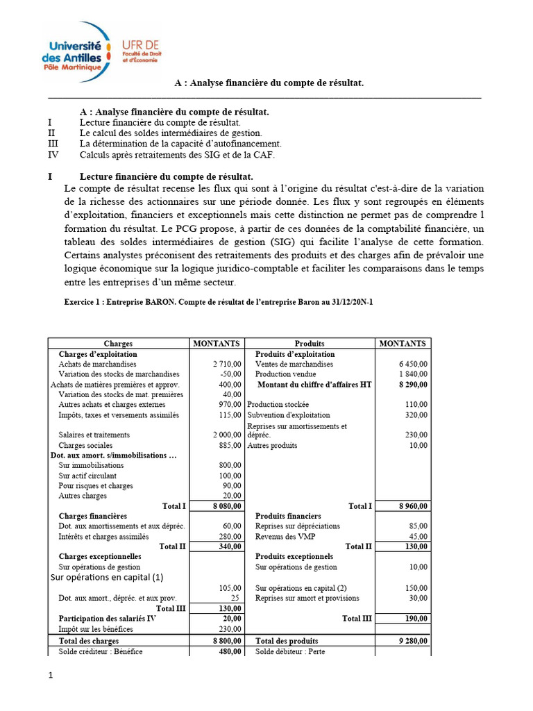 A - Analyse Financière Du Compte de Résultat - Document Vierge | Download Free PDF | Revenu brut ...