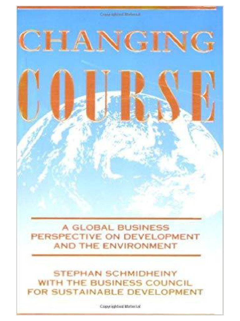 A Global Business Perspective On Development and The Environment | PDF
