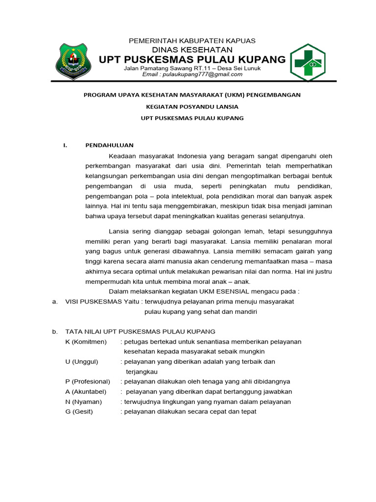 Kak Posyandu Lansia Baru | PDF