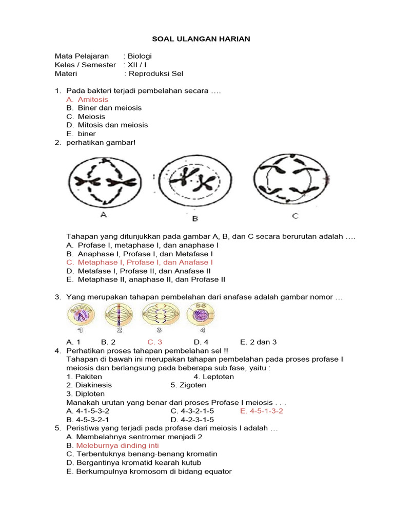 Soal Reproduksi Sel Uh | PDF