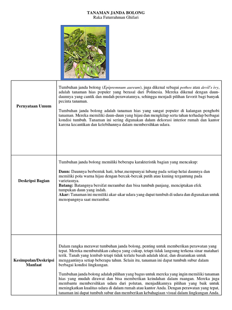 Format Teks Laporan Hasil Observasi Salinan | PDF