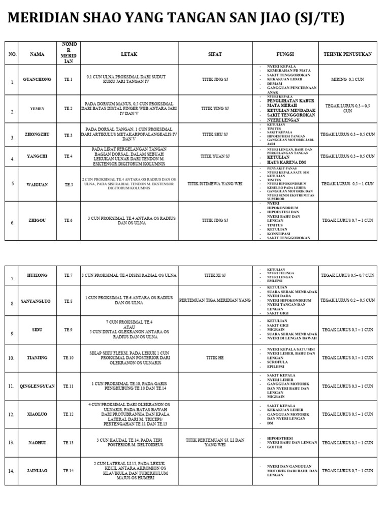 Titik Meridian San Jiao dan Fungsinya | PDF