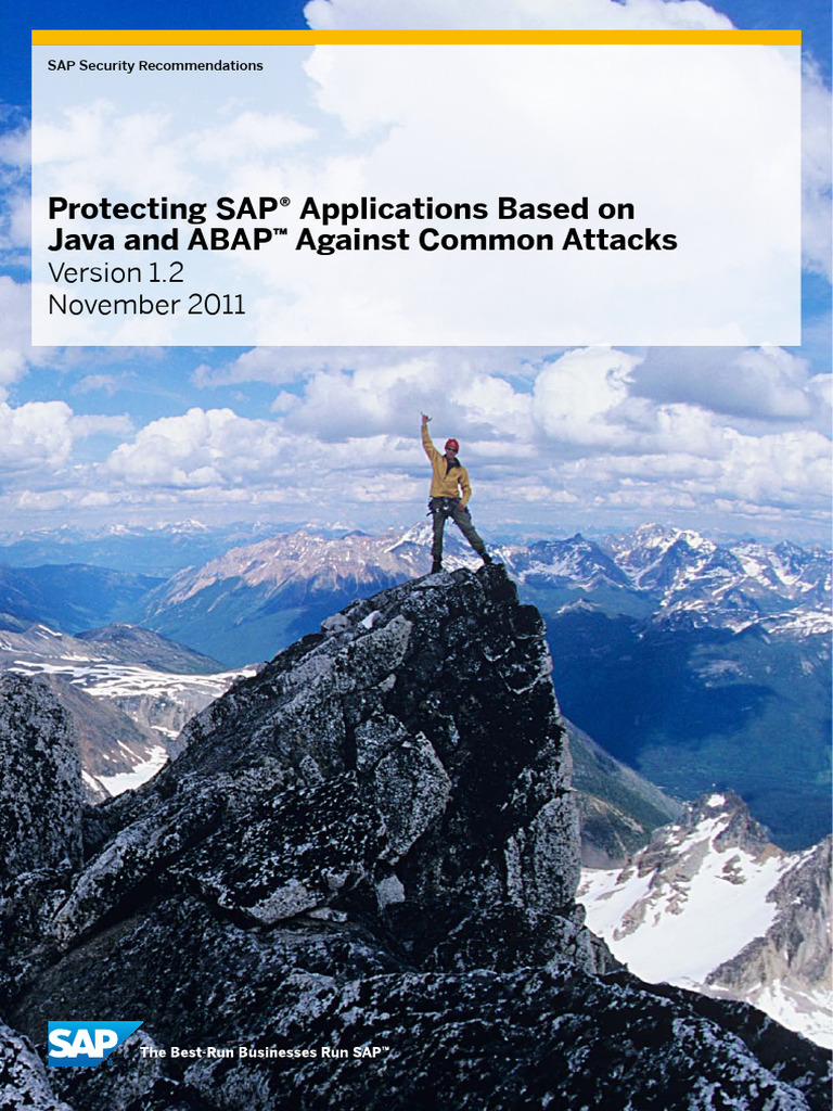 Protecting Sap Apps | PDF | Http Cookie | World Wide Web