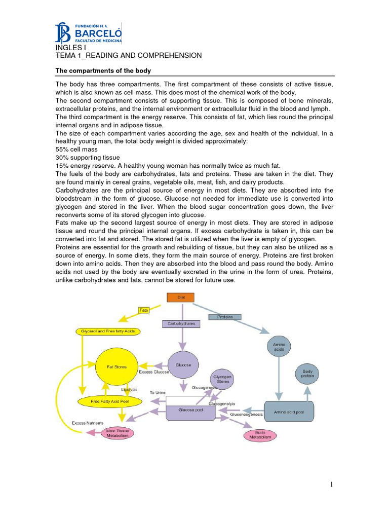 Ud1 - Tema1 - READING - The Compartment of The Body 2021 | PDF | Wellness