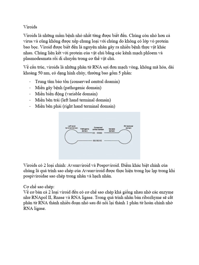 Viroids | PDF