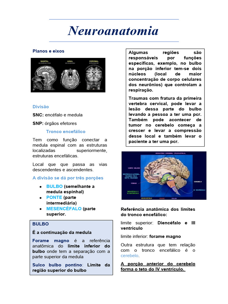 Neuro | PDF | Anatomia humana | Anatomia