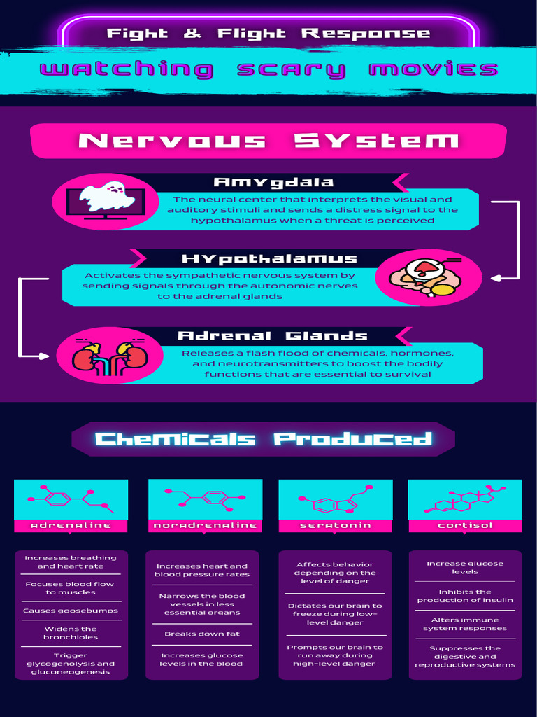 Infographics Fight and Flight Response | PDF