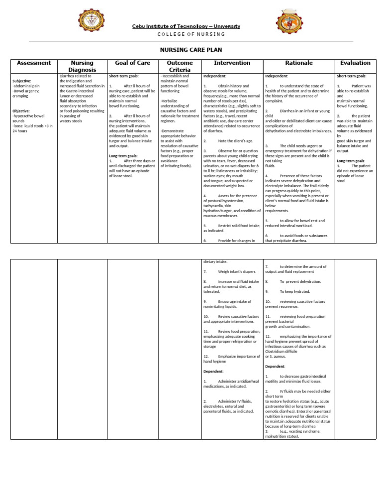 Nursing Care Plan 1 | PDF | Diarrhea | Dehydration