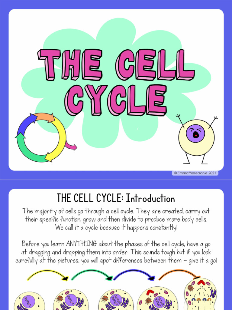 The Cell Cycle - Student Slides | PDF
