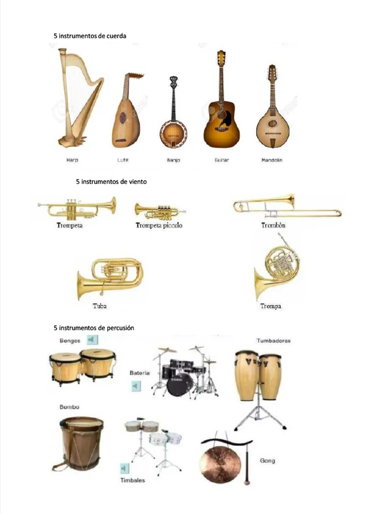 pdf-5-instrumentos-de-cuerda-viento-percusion_compress | PDF