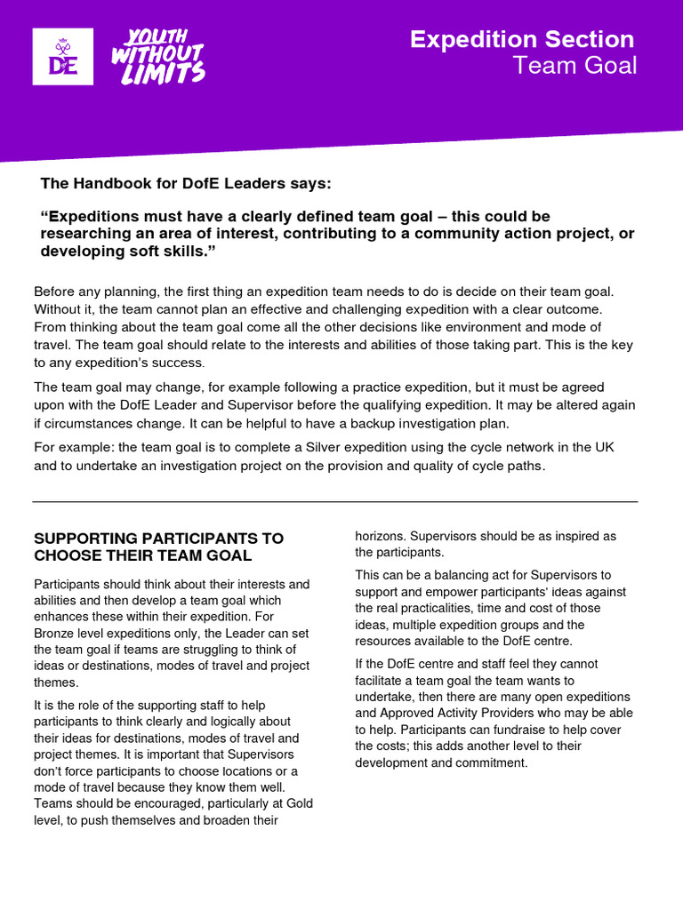 Team Goal Support and Examples | PDF | Goal