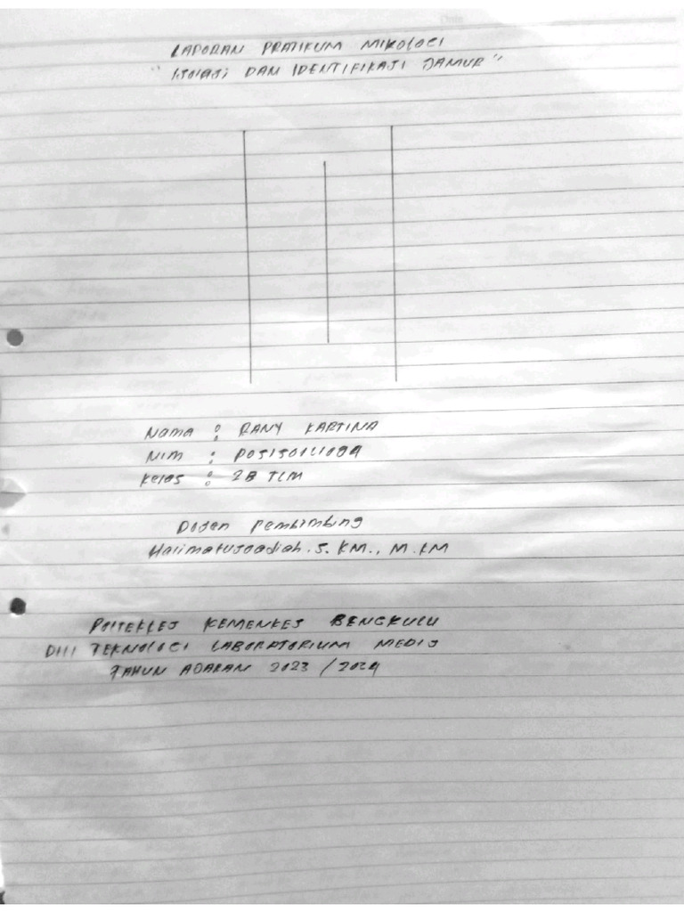 Rany Kartina - 2B TLM | PDF