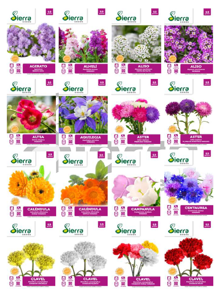 Lista de Flores Con Imagenes Referenciales | PDF